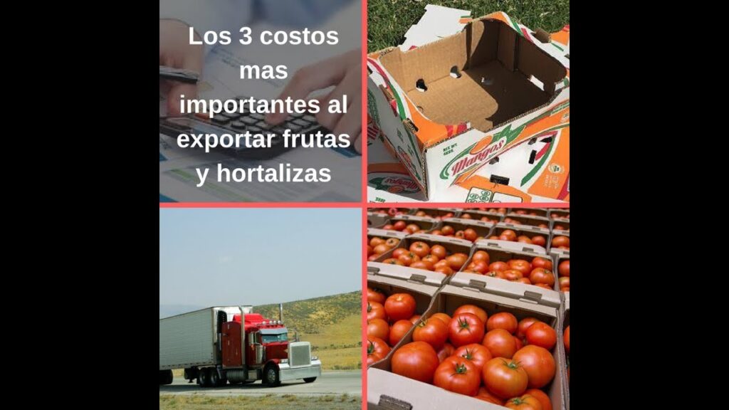 Guía Completa para Exportar Fruta de Perú a USA: Pasos y Consejos ...